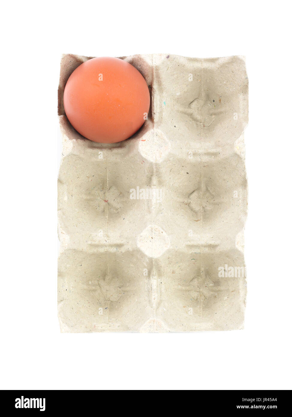Organic eggs in paperboard egg cartons isolated on white Stock Photo ...
