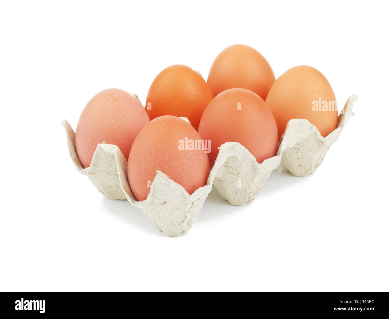 Organic eggs in paperboard egg cartons isolated on white Stock Photo ...