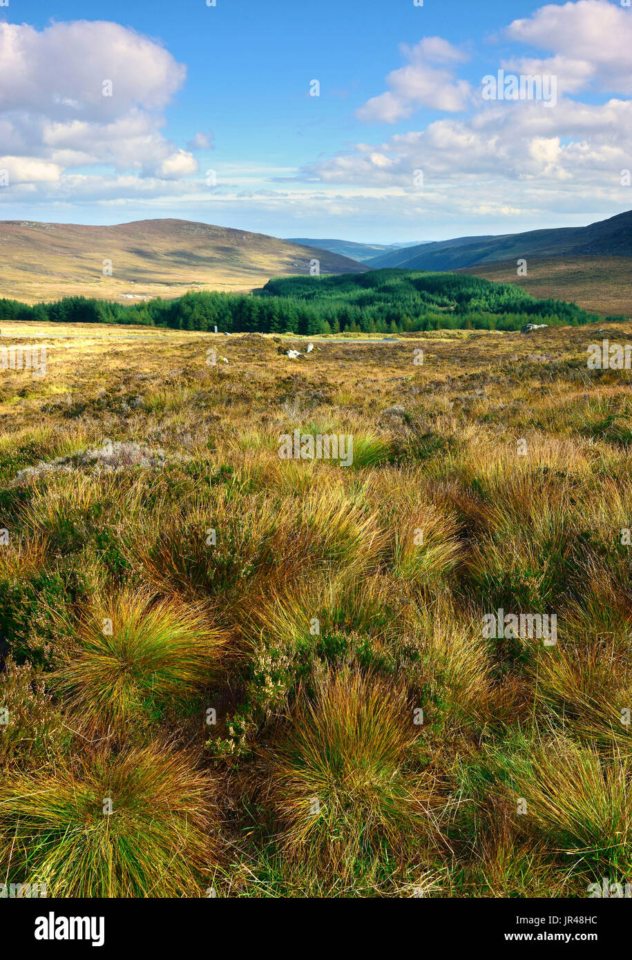 An autumn view of the Wicklow landscape near Laragh, Ireland Stock ...