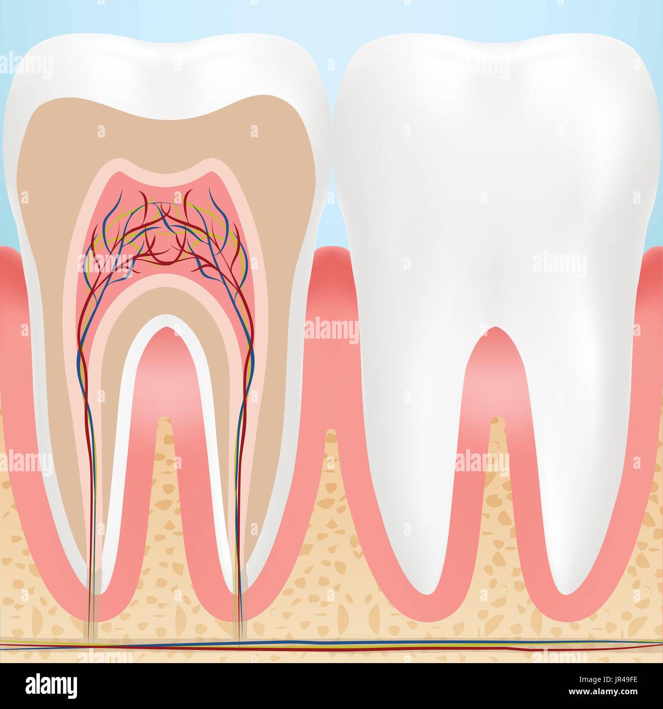 Canal chart Stock Vector Images - Alamy