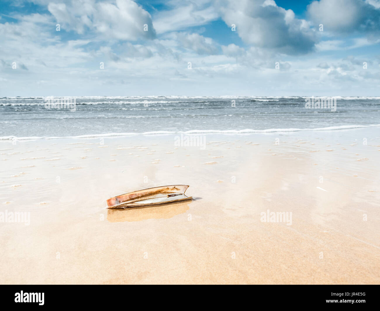 Razorshell beach hi-res stock photography and images - Alamy