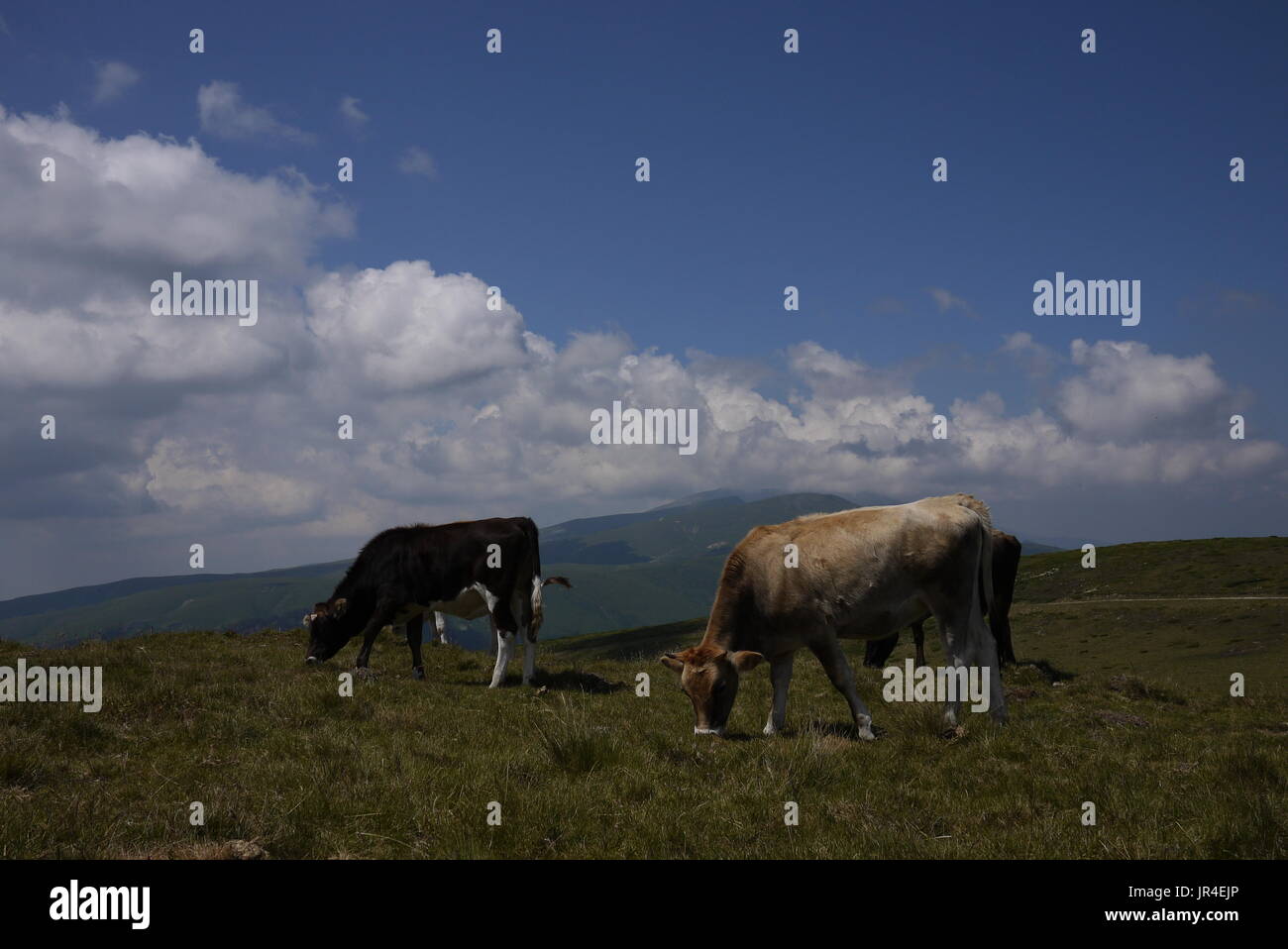The great balkan trail hi-res stock photography and images - Alamy