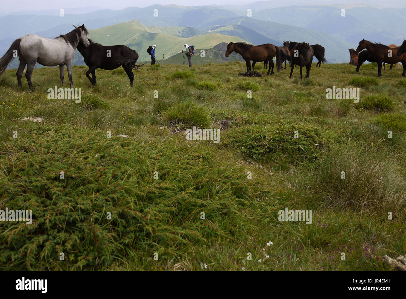 The great balkan trail hi-res stock photography and images - Alamy