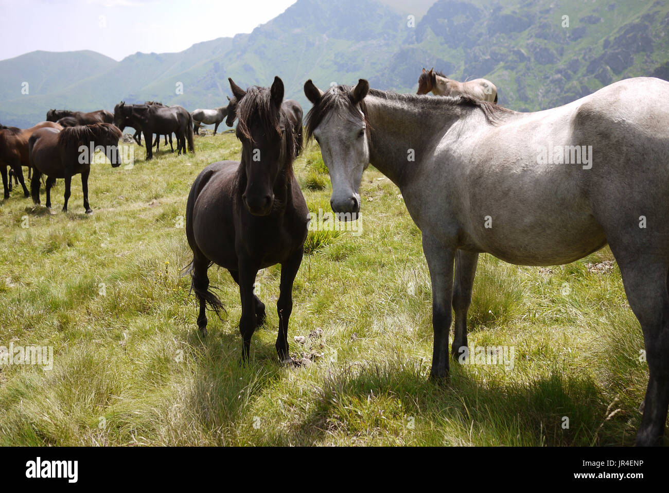 The great balkan trail hi-res stock photography and images - Alamy