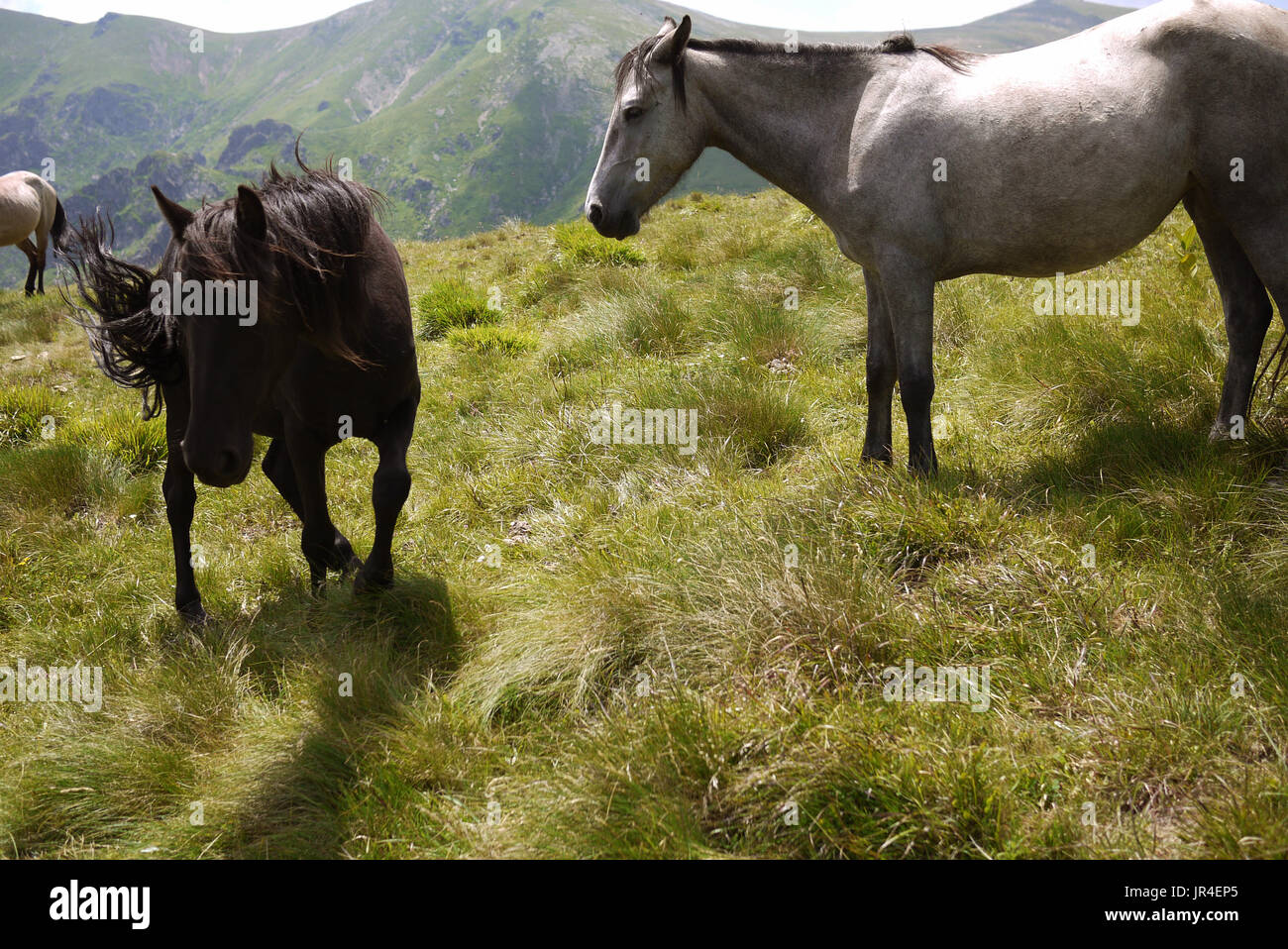 The great balkan trail hi-res stock photography and images - Alamy