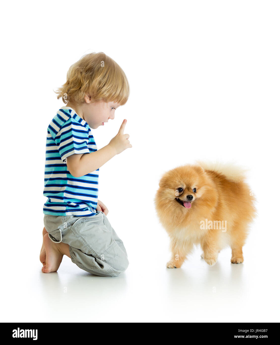 Child boy training Spitz dog. Isolated on white background Stock Photo ...