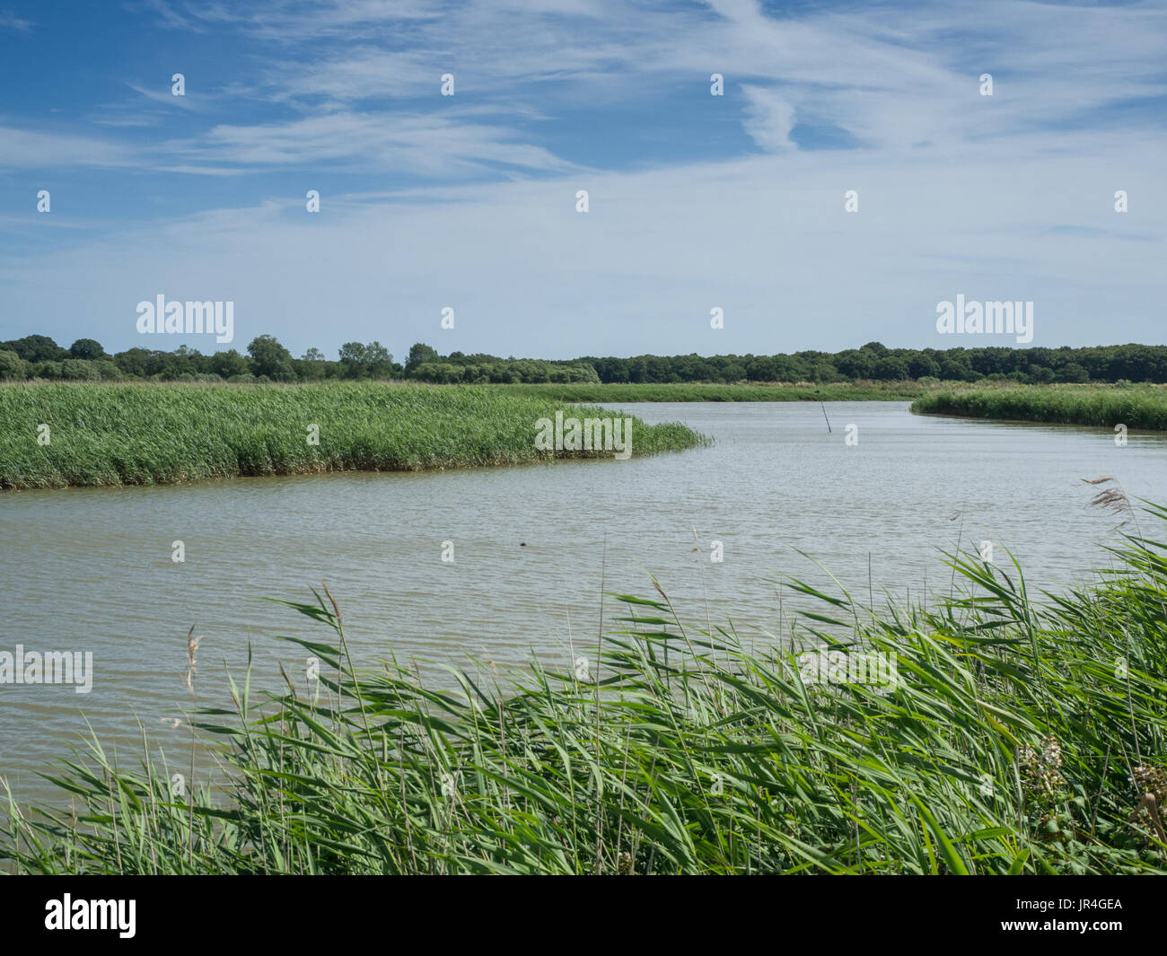 Benjamin britton hi-res stock photography and images - Alamy
