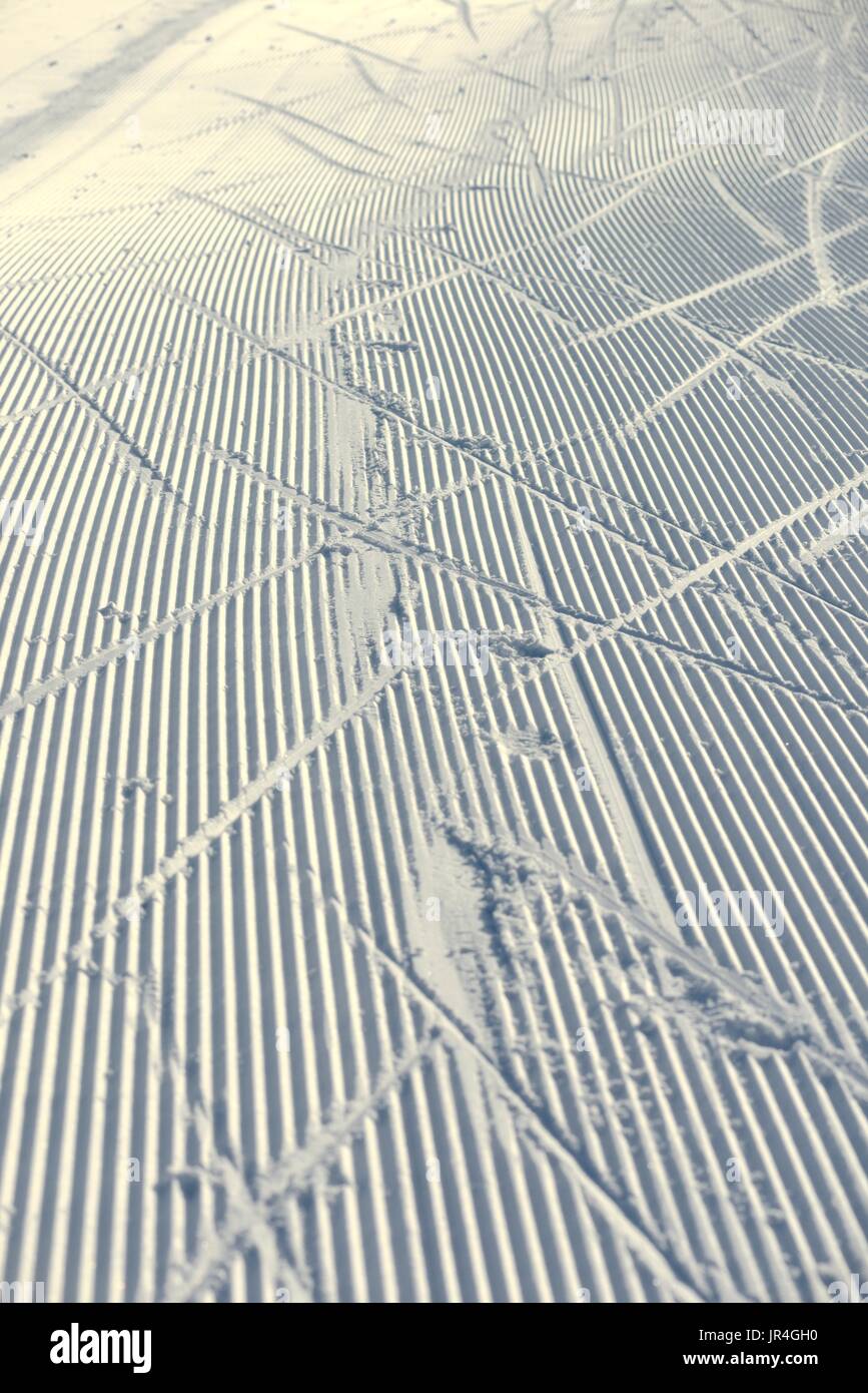 Ecosystem trace hi-res stock photography and images - Alamy