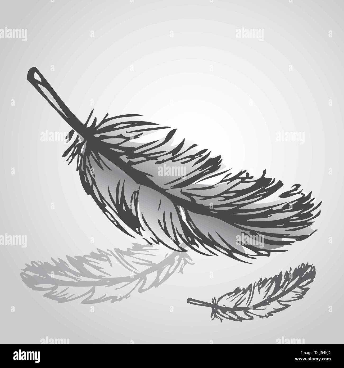 Vector colorful illustration of feathers, hand drawing Stock Vector ...