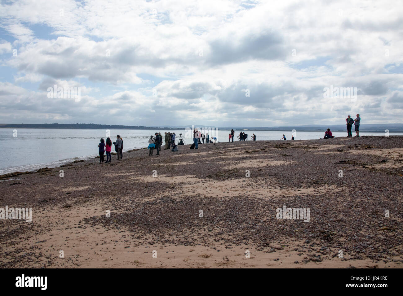Dolphin watching at Chanonry Point, Moray Firth, Scotland Stock Photo ...