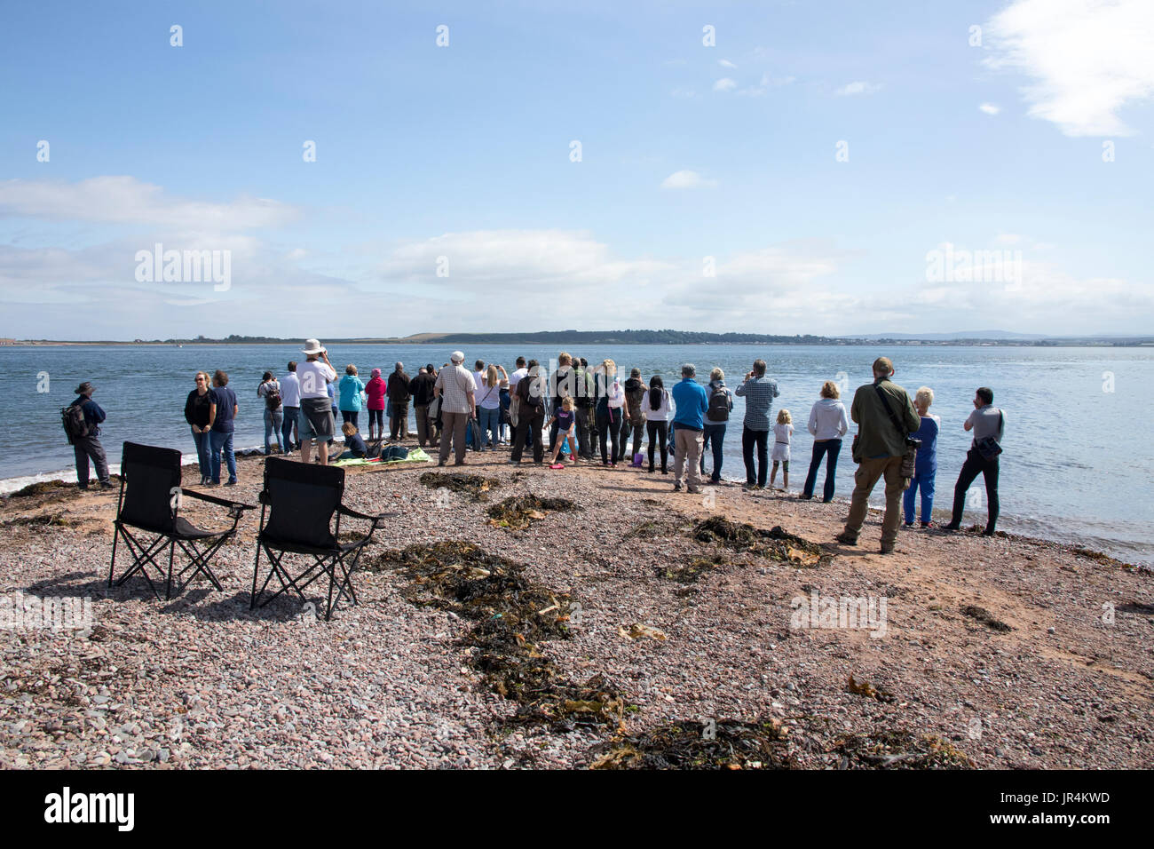 Dolphin watching at Chanonry Point, Moray Firth, Scotland Stock Photo ...