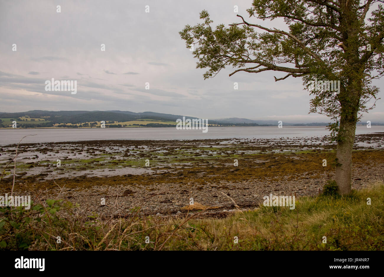 Beauly Firth early morning Stock Photo - Alamy