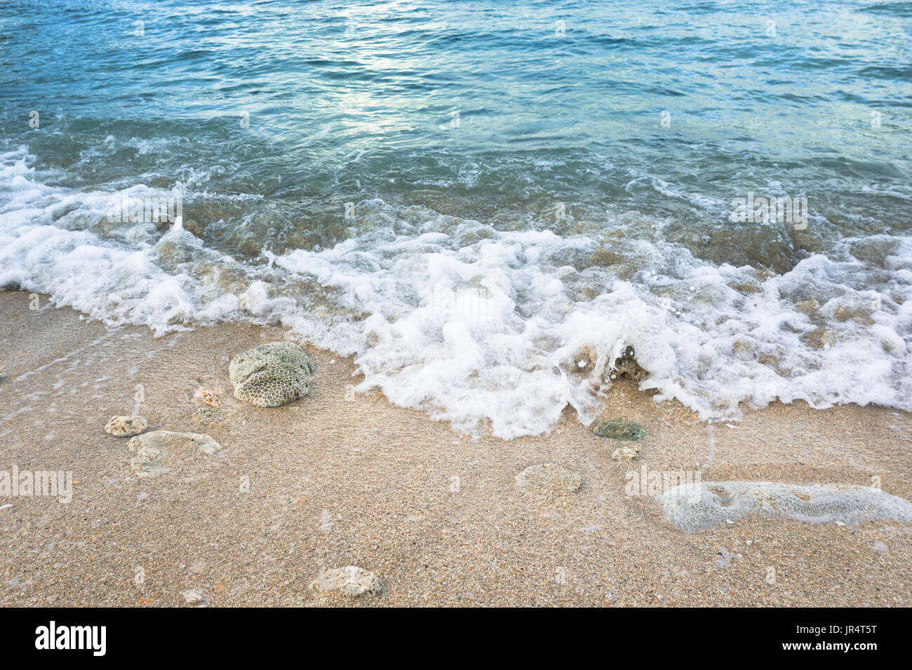 Sandy shore soft ocean hi-res stock photography and images - Alamy