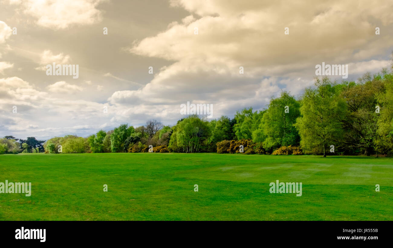 Wimbledon common hi-res stock photography and images - Alamy