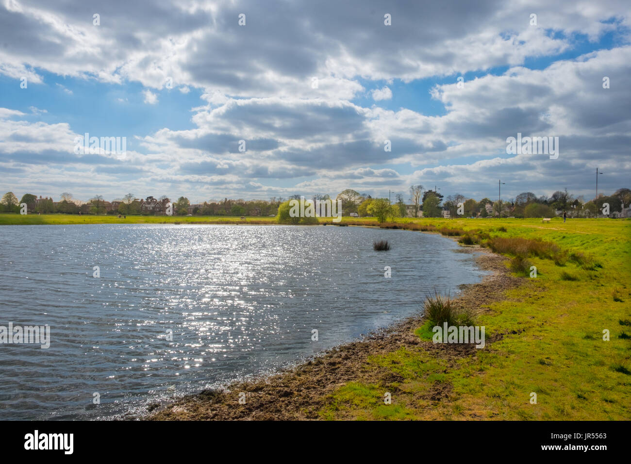 Wimbledon common pond hi-res stock photography and images - Alamy