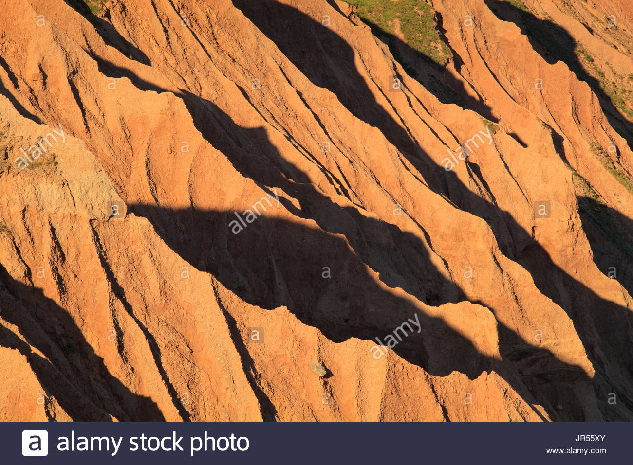 Pleistocene Deposits High Resolution Stock Photography and Images - Alamy