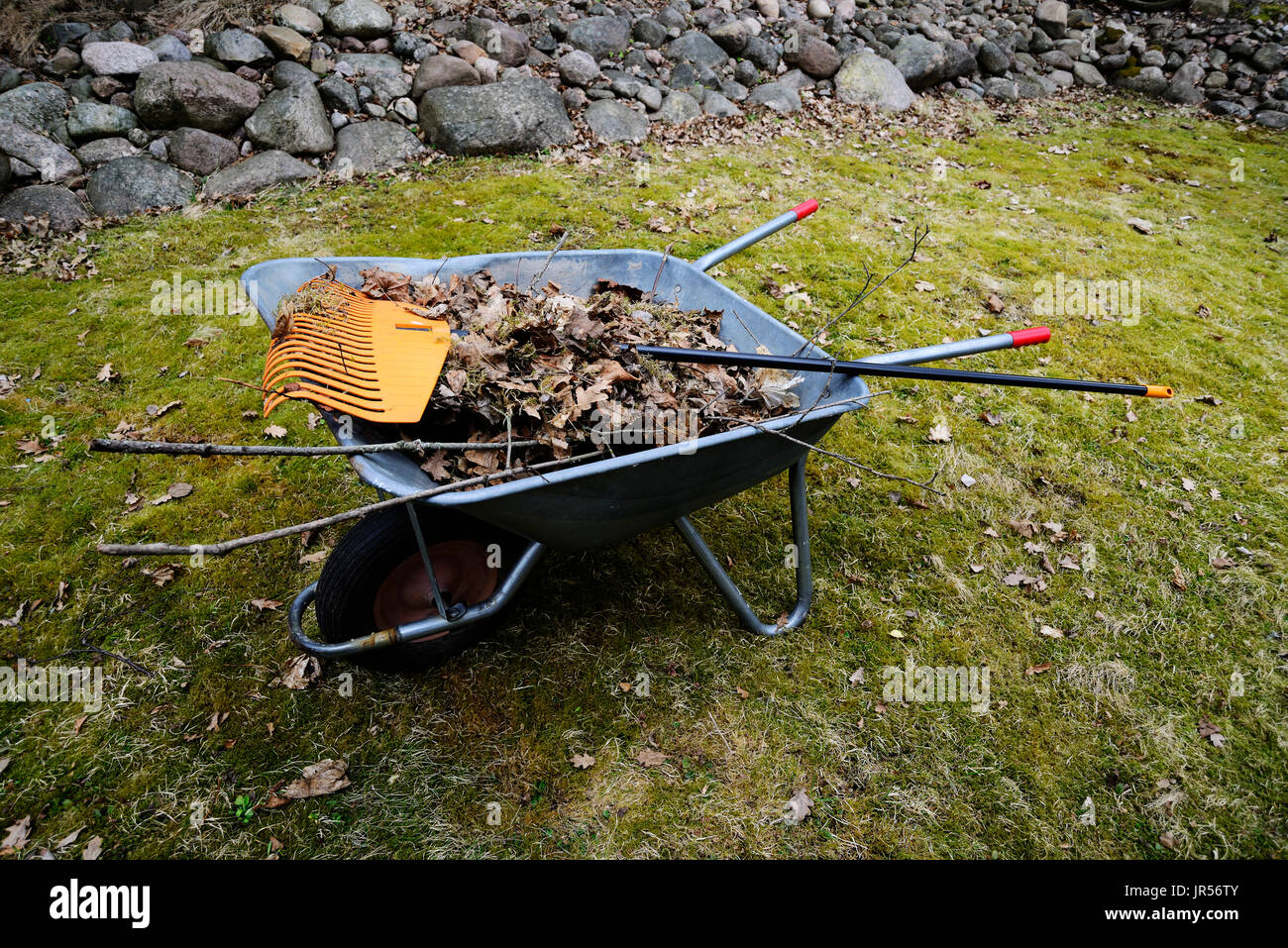 garden wheelbarrow with leaves on the lawn Stock Photo - Alamy
