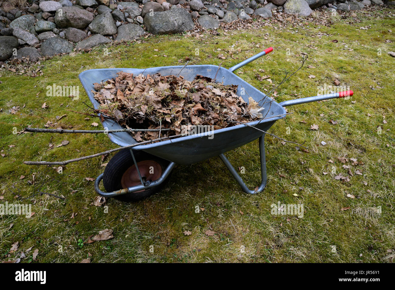 garden wheelbarrow with leaves on the lawn Stock Photo - Alamy