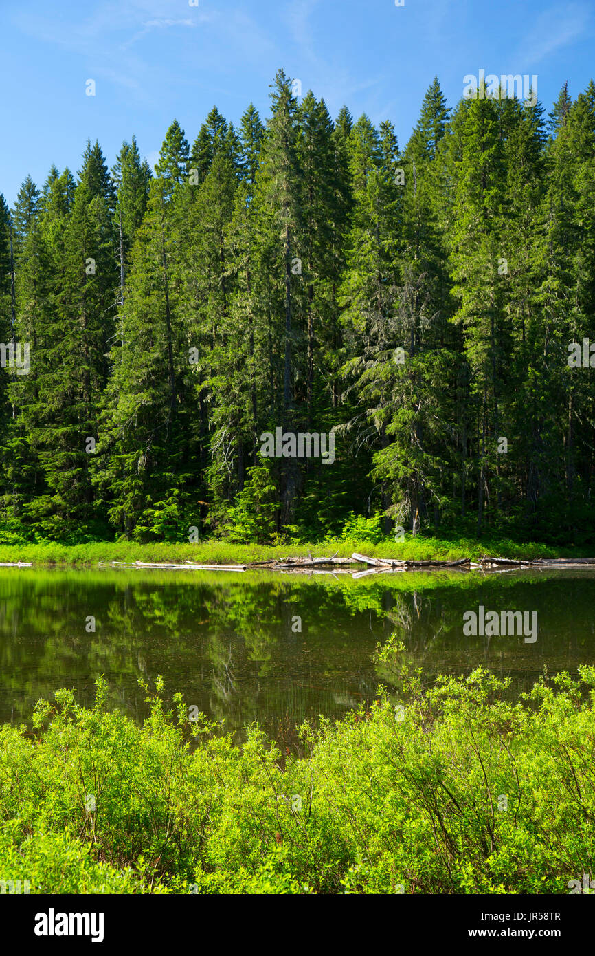 Fay Lake, Willamette National Forest, Oregon Stock Photo - Alamy