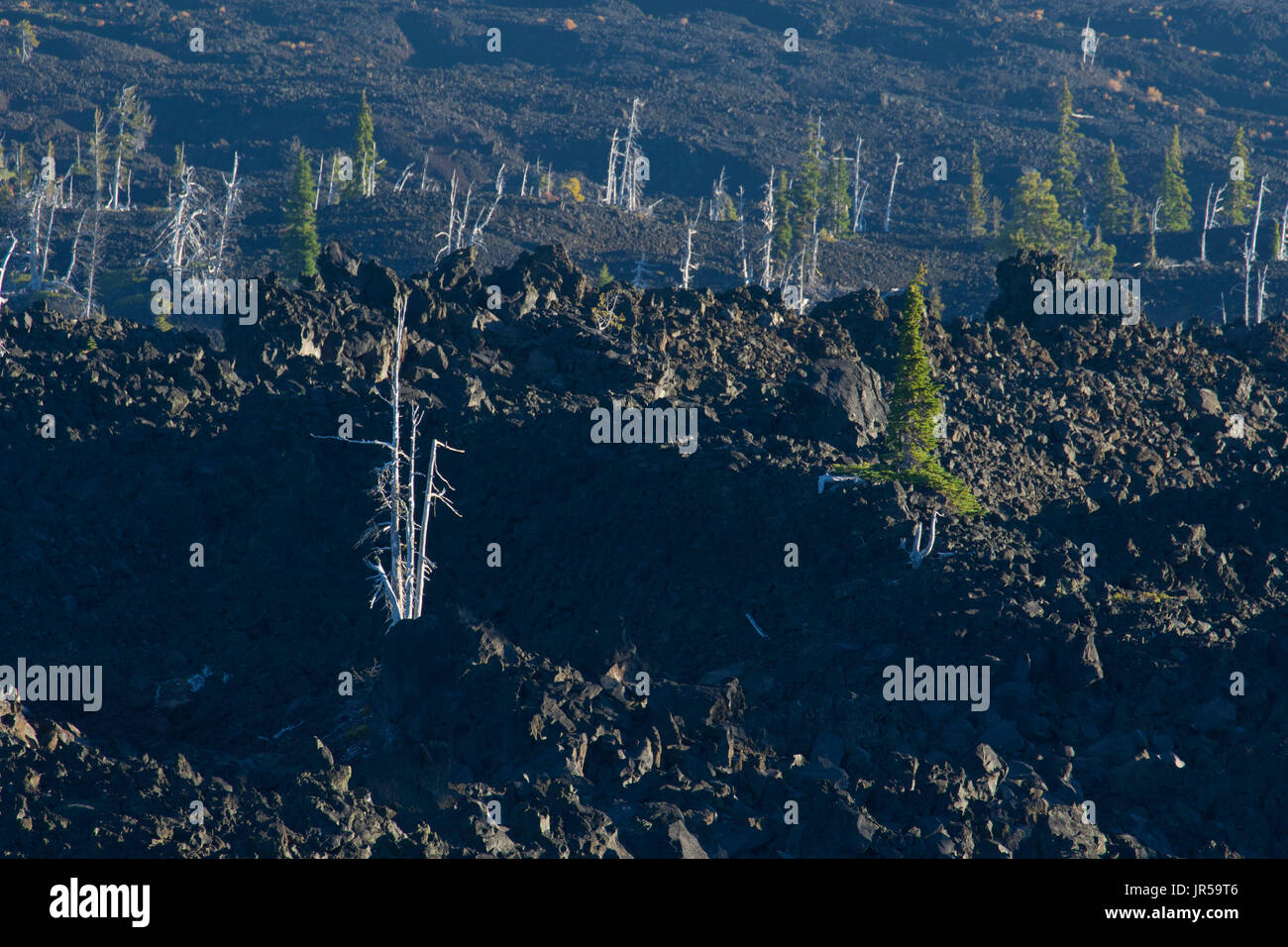 Dee wright observatory, oregon hi-res stock photography and images - Alamy