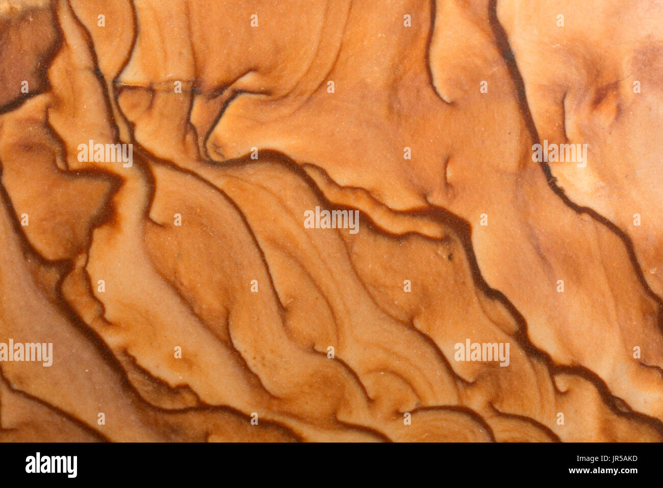 Biggs picture jasper from Oregon Stock Photo - Alamy