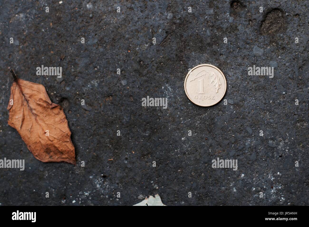 Small coin on the dirty stone background. 1 grosz, polish coin on the ...