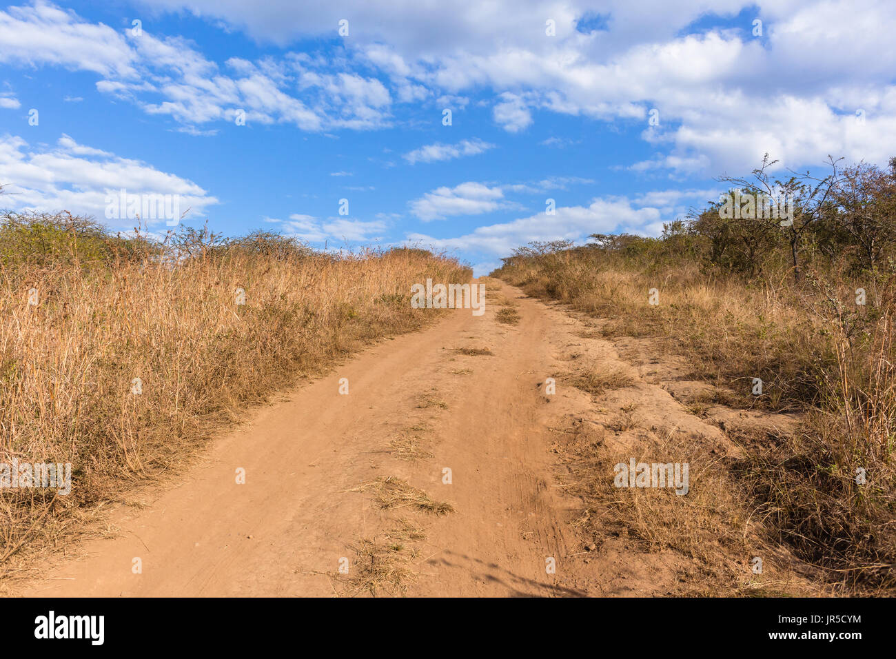 Dirt road track hill in wilderness wildlife safari landscape during a ...