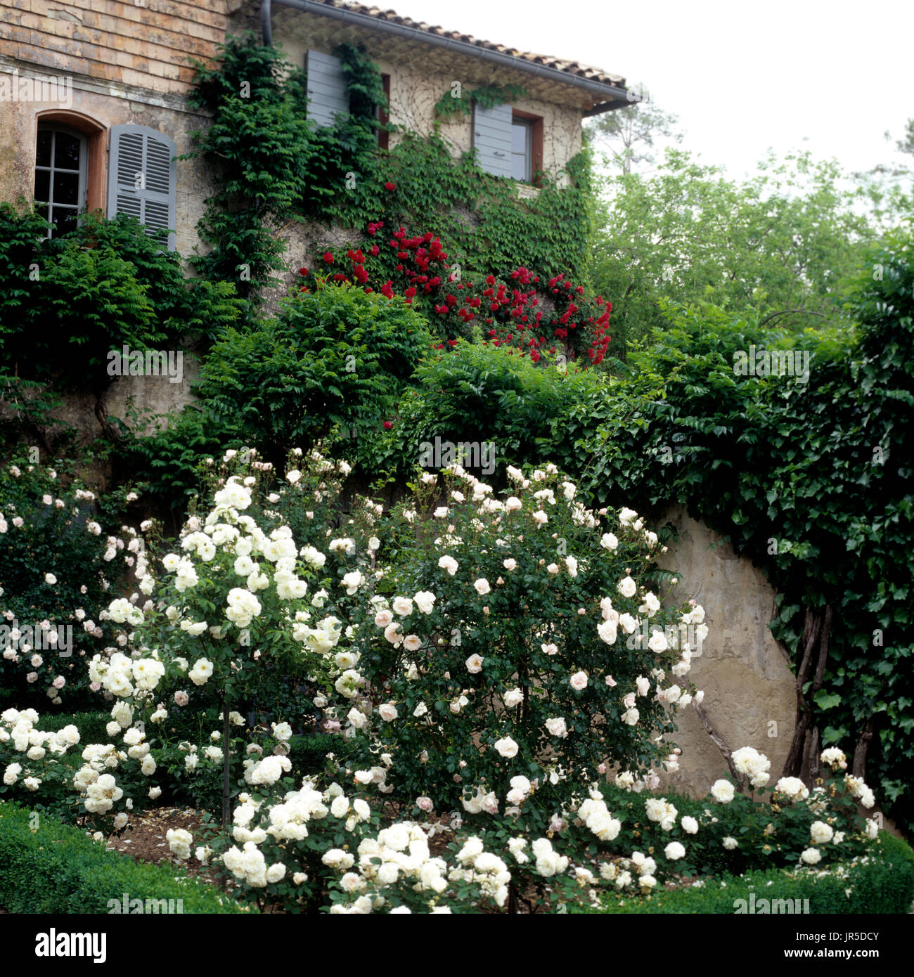 White house rose garden hi-res stock photography and images - Alamy