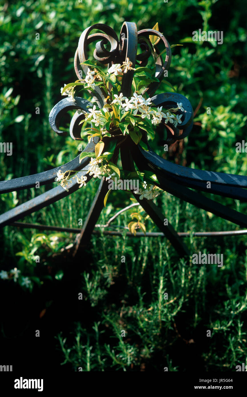 Flowers on railing Stock Photo - Alamy