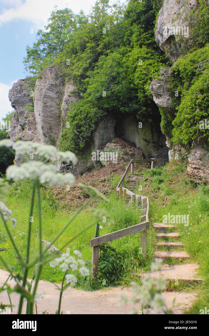 Creswell Crags, a limestone gorge honeycombed with caves of ...
