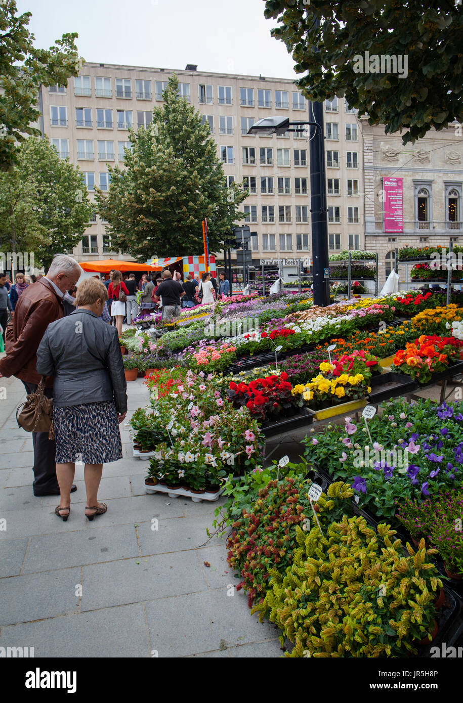 Ghent, Belgium - June 26, 2011: Flower market Kouter in Ghent Stock ...