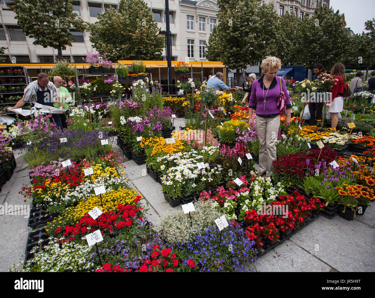 Ghent market stall hi-res stock photography and images - Alamy