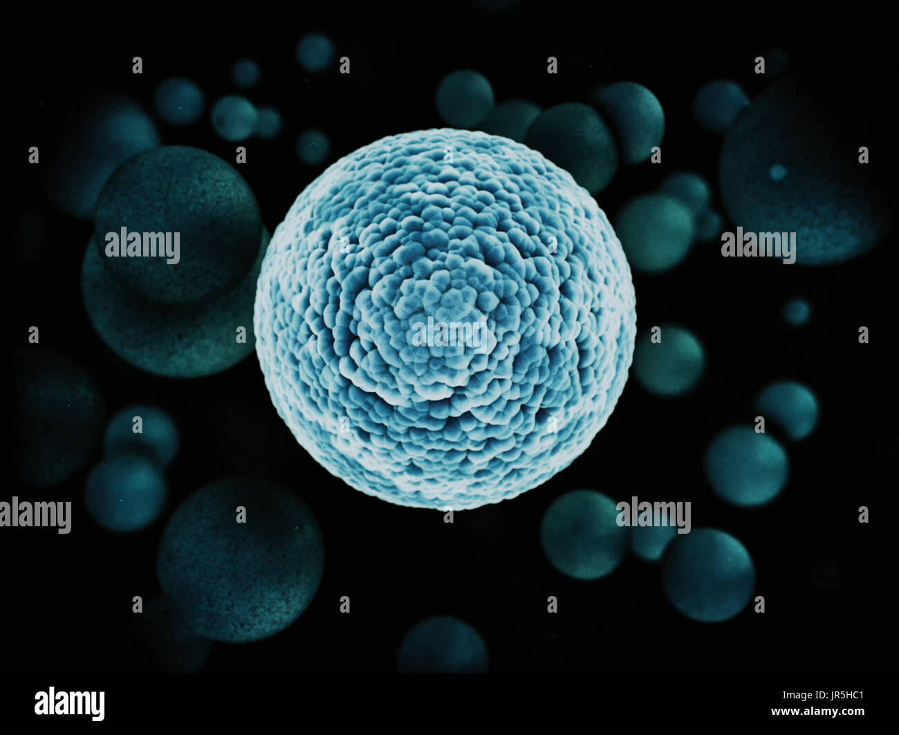 Bacteria cell anatomy hi-res stock photography and images - Alamy