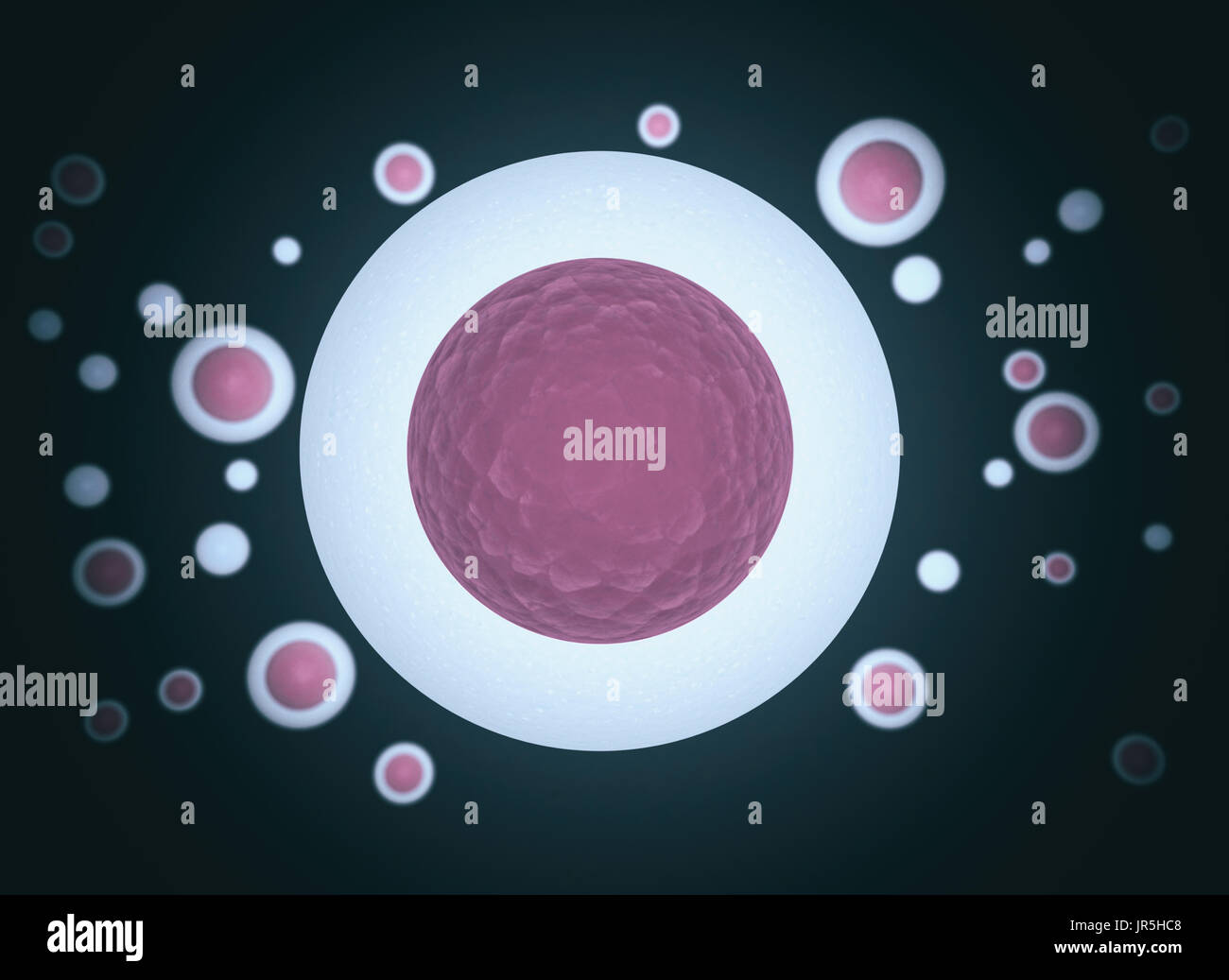 Human egg cells on dark background 3d render Stock Photo - Alamy