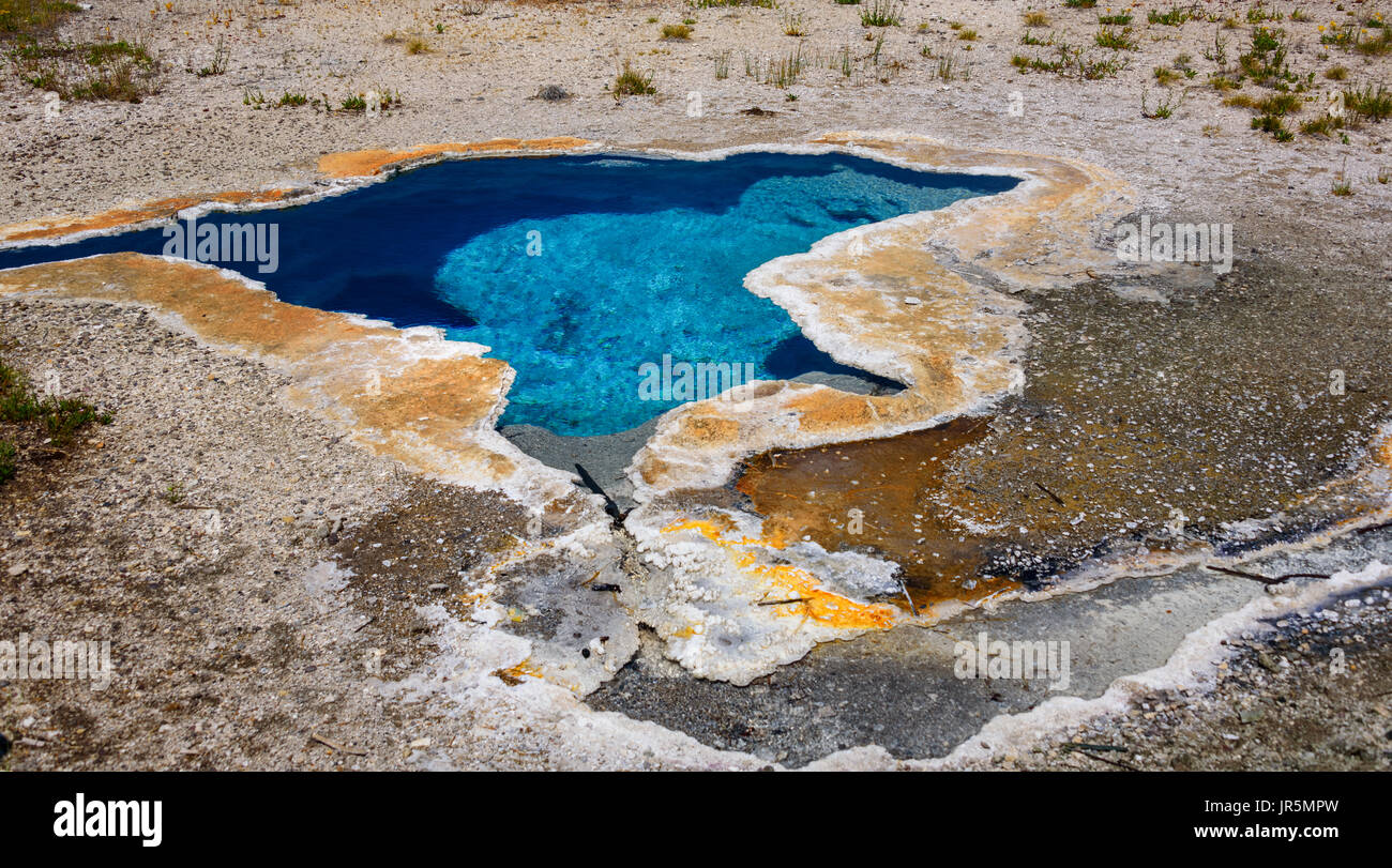 Closeup of a hot spring, pool in Yellowstone. Blue Star Spring Geyser ...