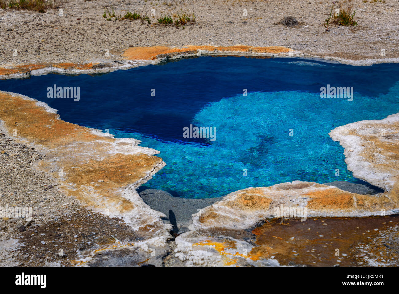 Blue Star Spring Geyser. Closeup of a hot spring, pool in Yellowstone ...