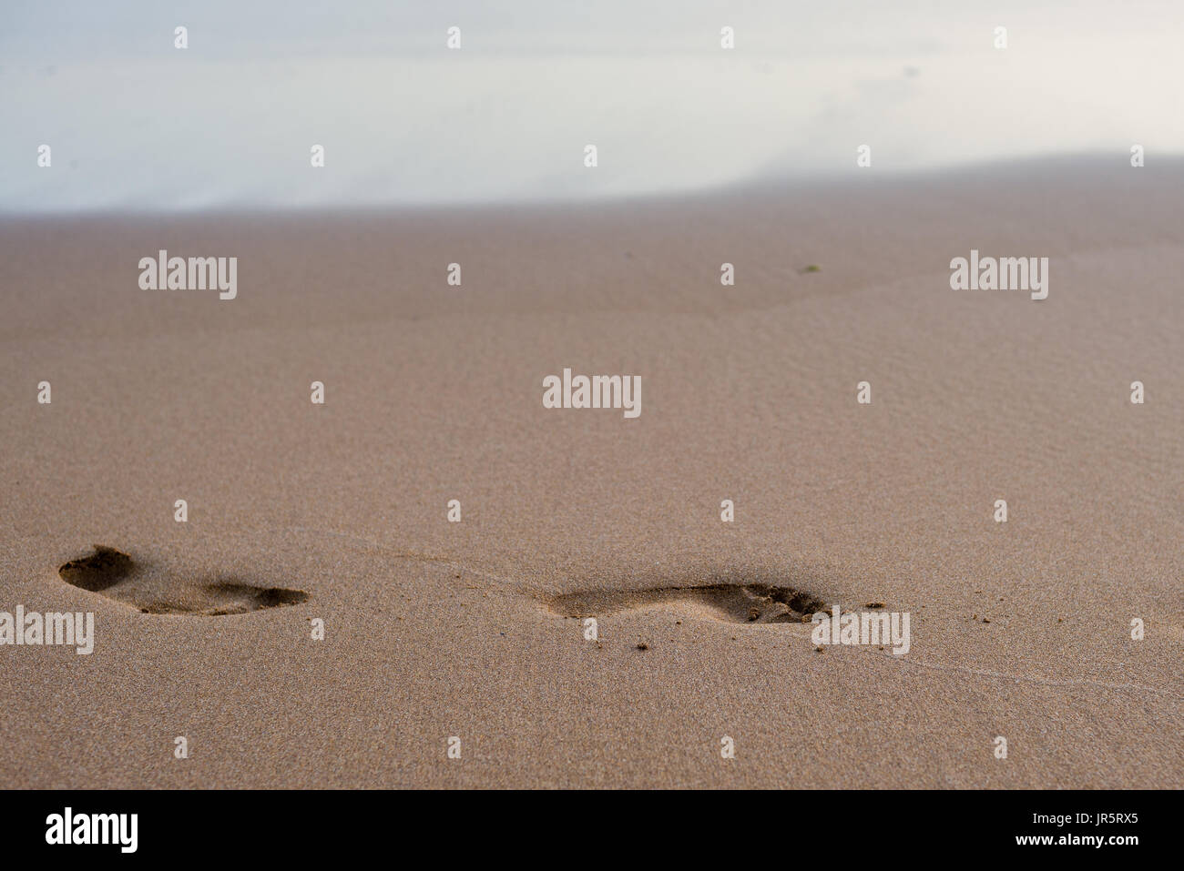 Human prints hi-res stock photography and images - Alamy