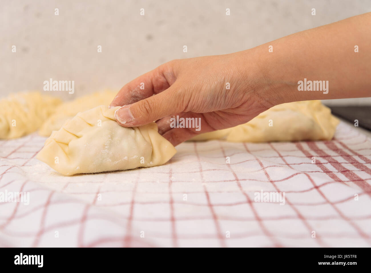 Women Hand holding a Handmade Dumpling Stock Photo - Alamy