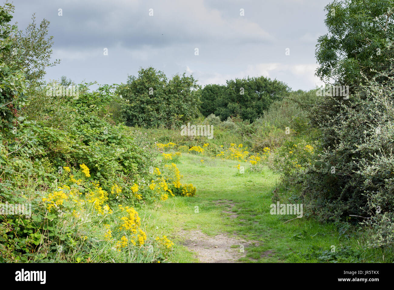 Turbary common hi-res stock photography and images - Alamy