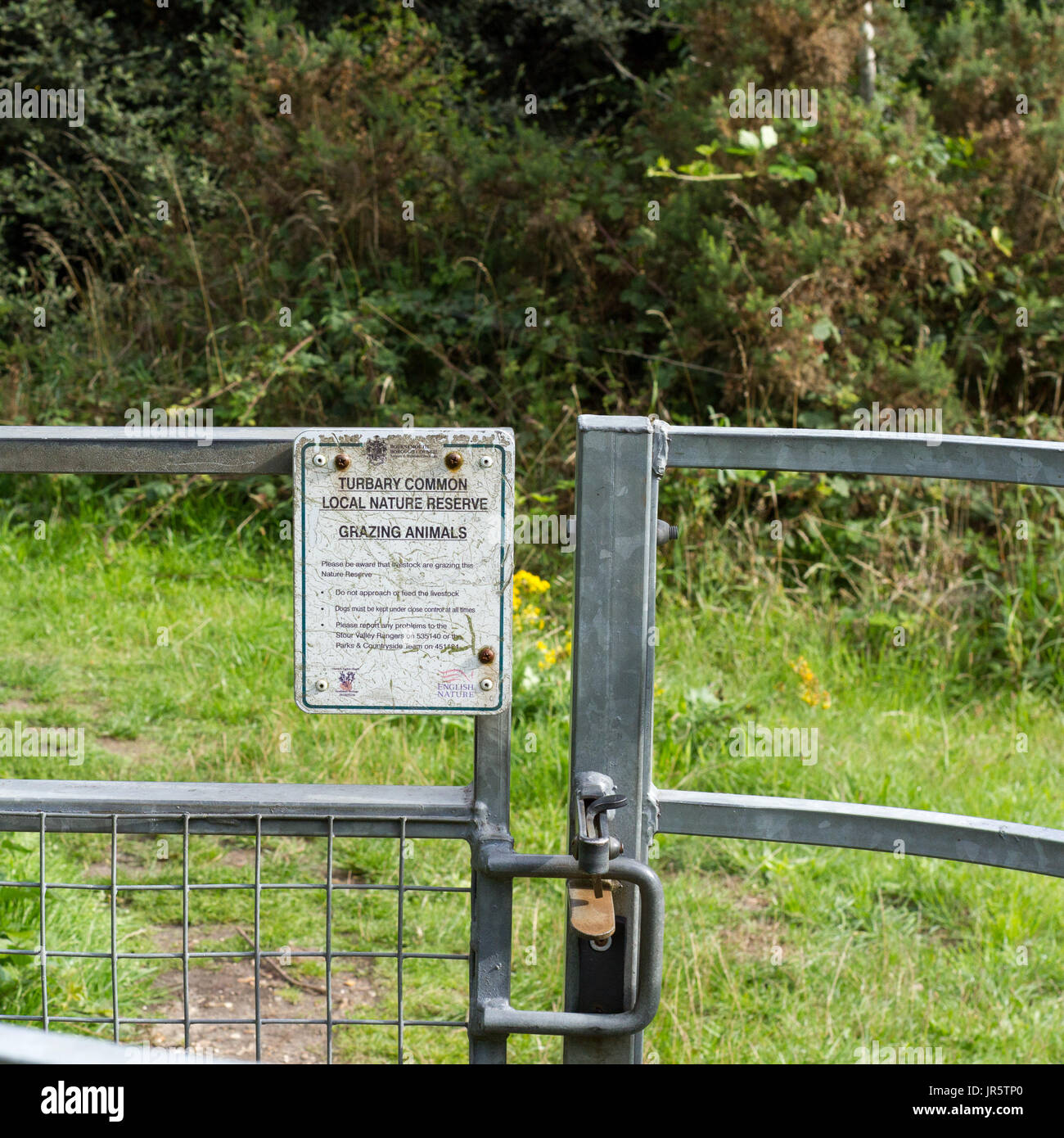 Turbary Common Local Nature Reserve, grazing animals notice on gate ...