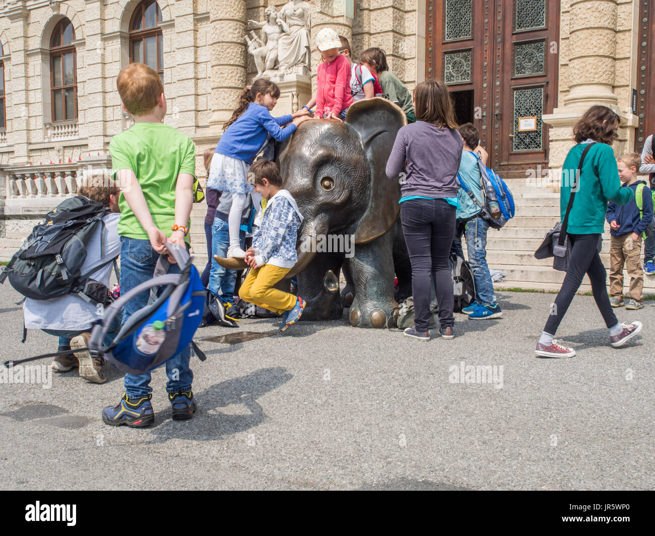 Elephant In Vienna Museum Natural High Resolution Stock Photography and ...