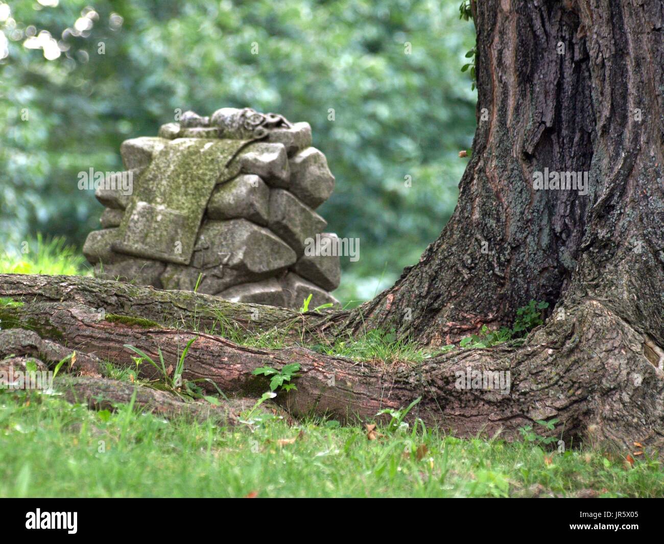Unusual tombstone by huge tree Stock Photo - Alamy
