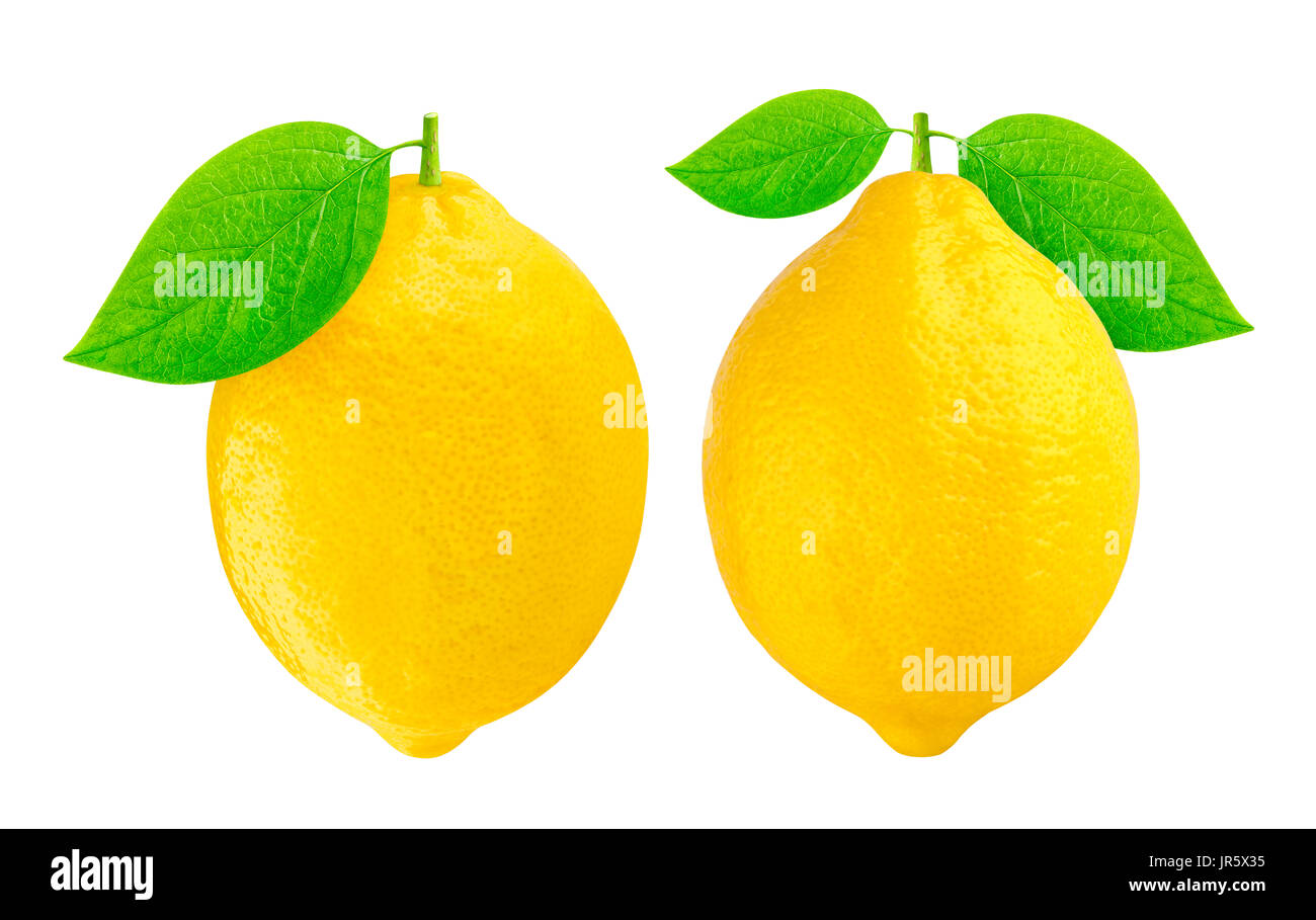 No fruit logo Cut Out Stock Images & Pictures - Alamy