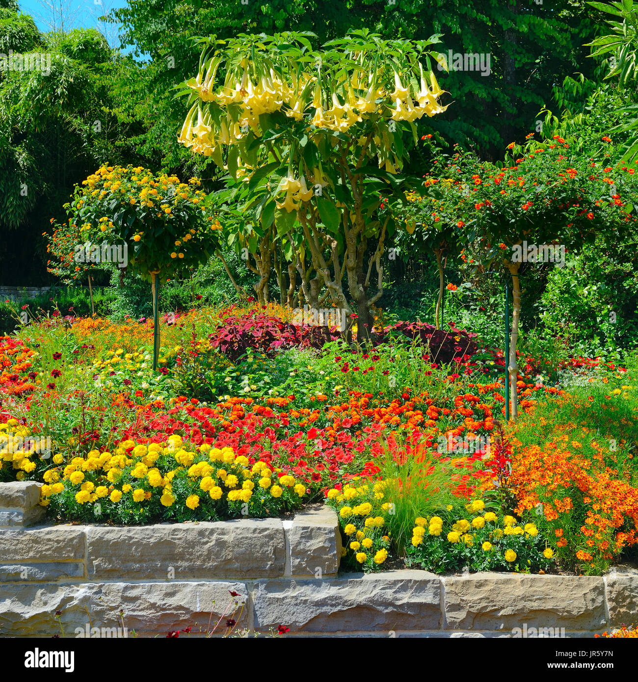 Blooming floral bed landscape hi-res stock photography and images - Alamy