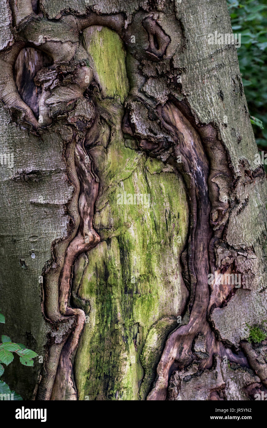 Creepy texture hi-res stock photography and images - Alamy