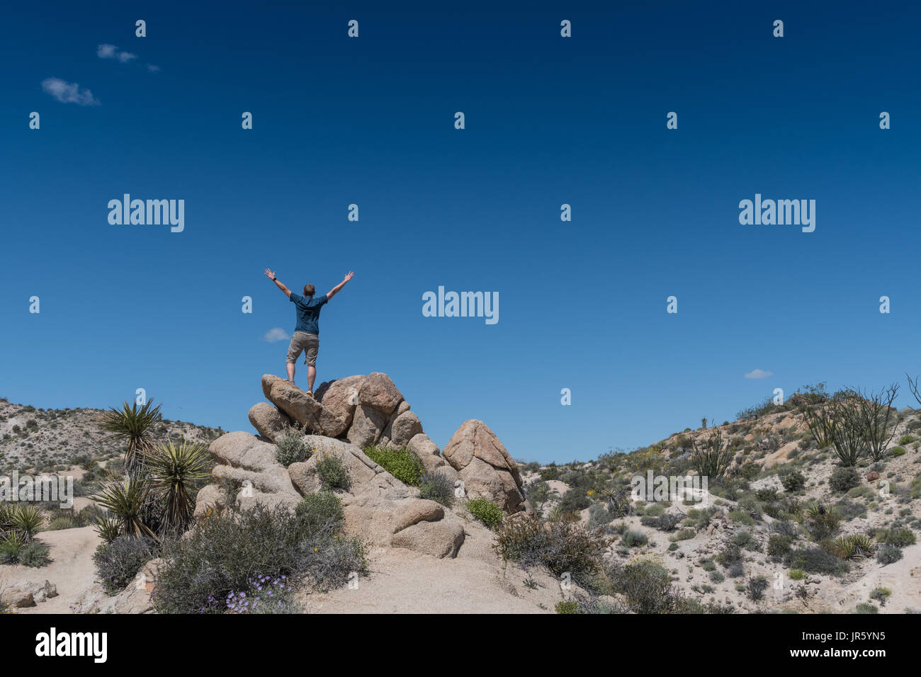 Man Stands on Rock In Desert With Arms Raised on Blue Sky Day Stock ...