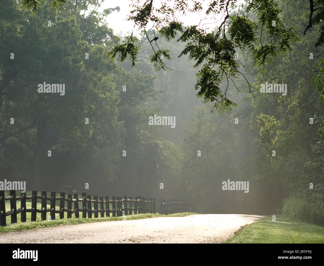 Pastoral view with soft lighting hi-res stock photography and images ...