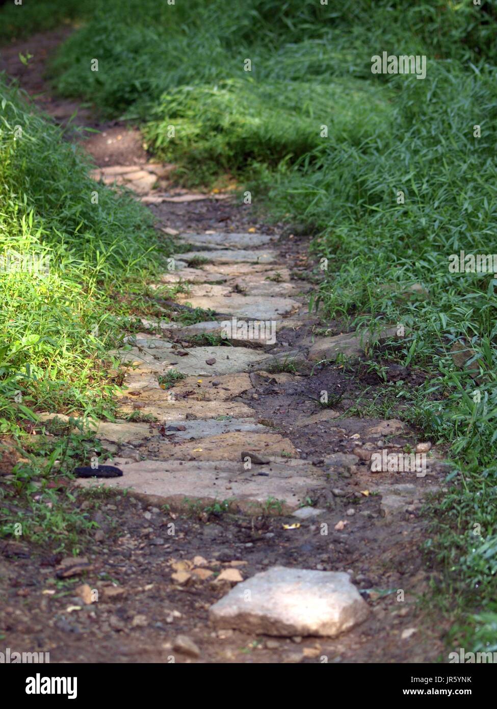 Pebble stone path walkway hi-res stock photography and images - Alamy