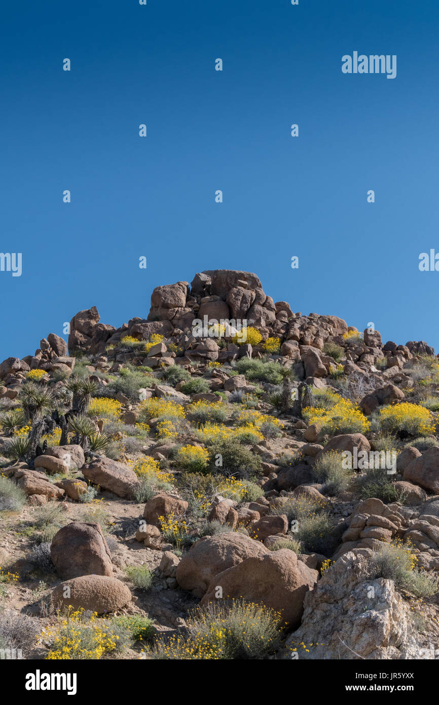 Mound of Desert Boulders with Yellow Flowers on Brush Stock Photo - Alamy