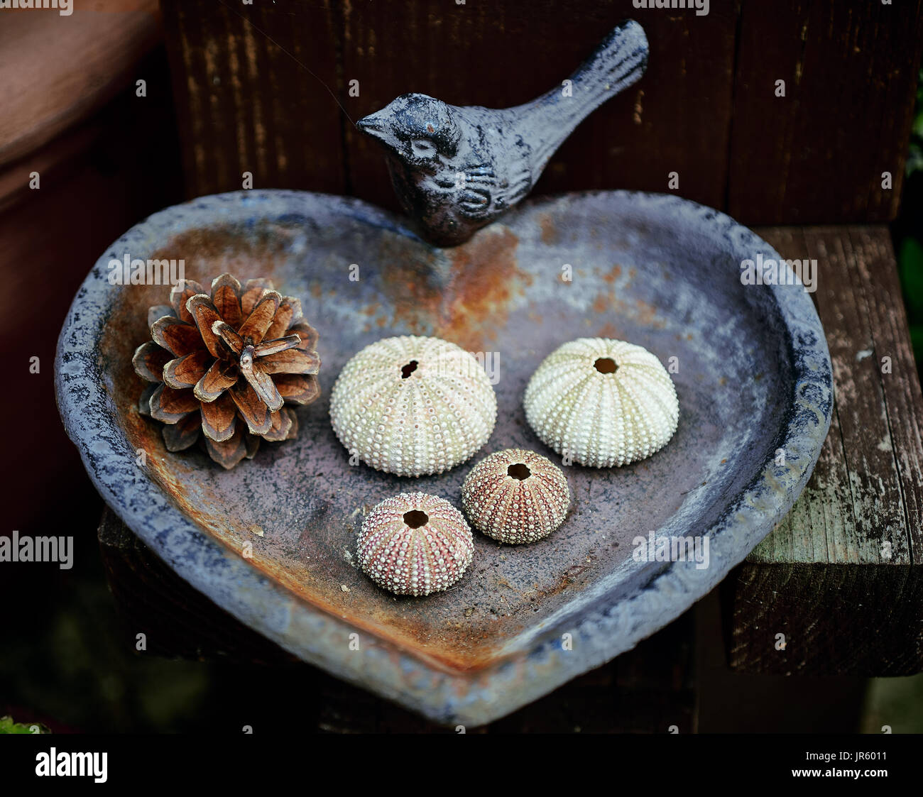 Cone shaped shell hi-res stock photography and images - Alamy